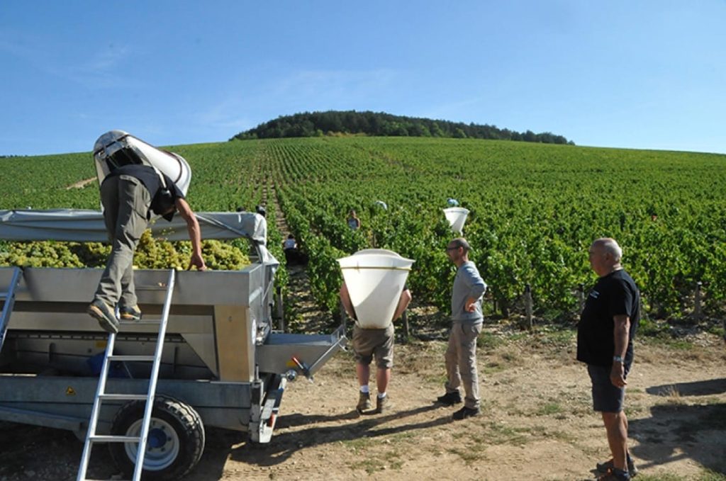 Renowned Producers & Regions - Vint Marketplace